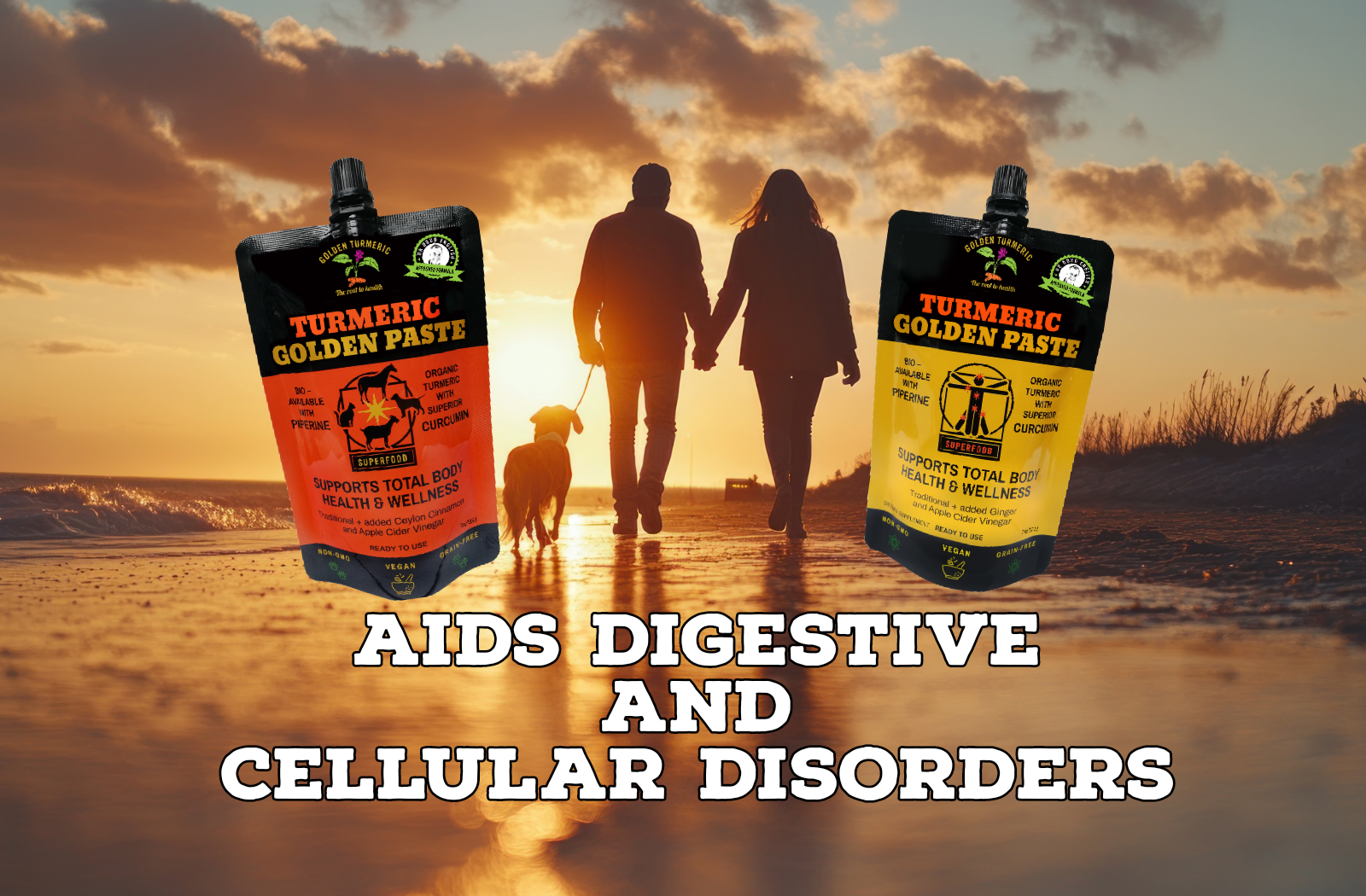 Turmeric Golden Paste | Best Turmeric Supplement